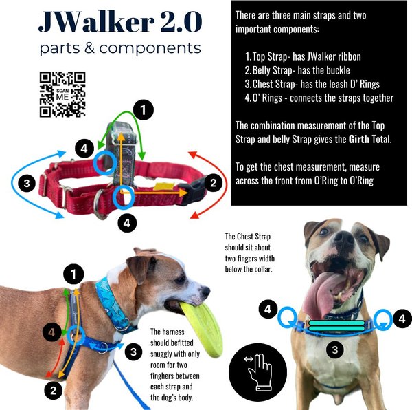 JWALKER DOG Harness, Black Bear, Medium/Large - Chewy.com