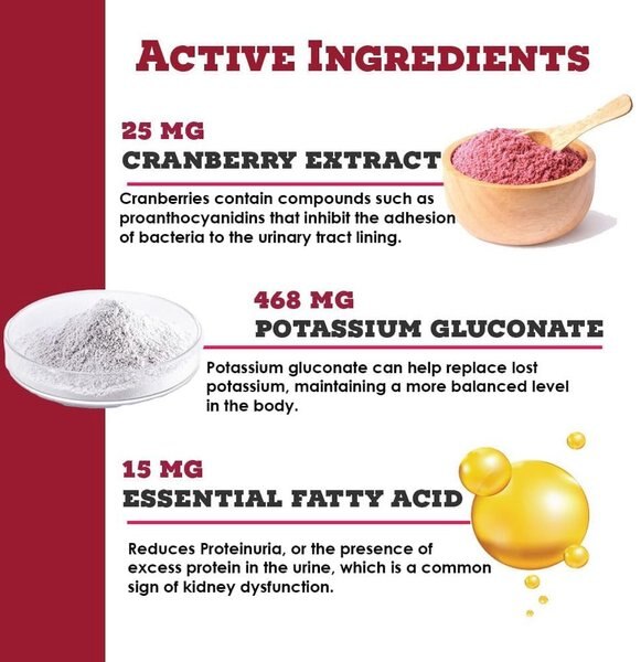 K-PLUS Potassium Gluconate Renal Gel Dog Urinary Supplement, 5-oz tube ...