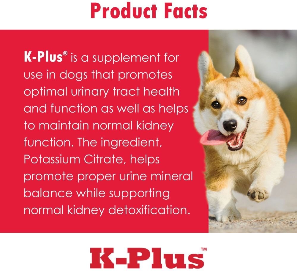 K-PLUS Potassium Gluconate Renal Gel Dog Urinary Supplement, 5-oz tube ...