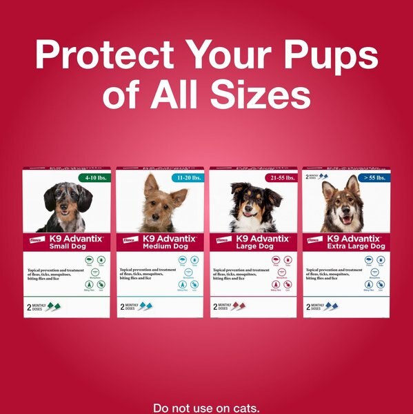 K9 ADVANTIX Flea, Tick & Mosquito Prevention for Large Dogs, 21-55 lbs ...