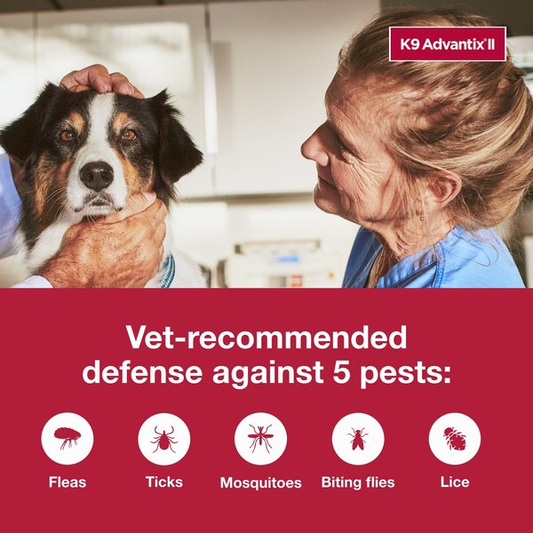 K9 ADVANTIX II Flea & Tick Spot Treatment for Dogs, 21-55 lbs, 12 Doses ...