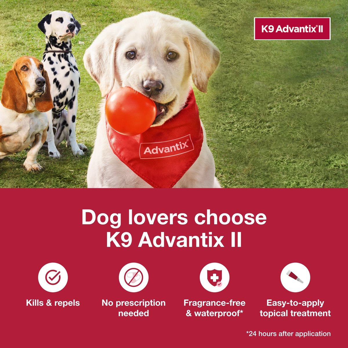 K9 ADVANTIX II Flea & Tick Spot Treatment for Dogs, 21-55 lbs, 12 Doses ...