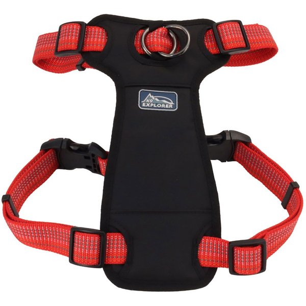 WILD ONE Adjustable Cushioned Dog Harness, Black, Large - Chewy.com