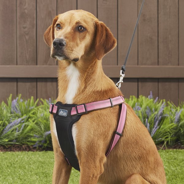 K9 EXPLORER Reflective Adjustable Padded Dog Harness, Rosebud, Large, 1 ...