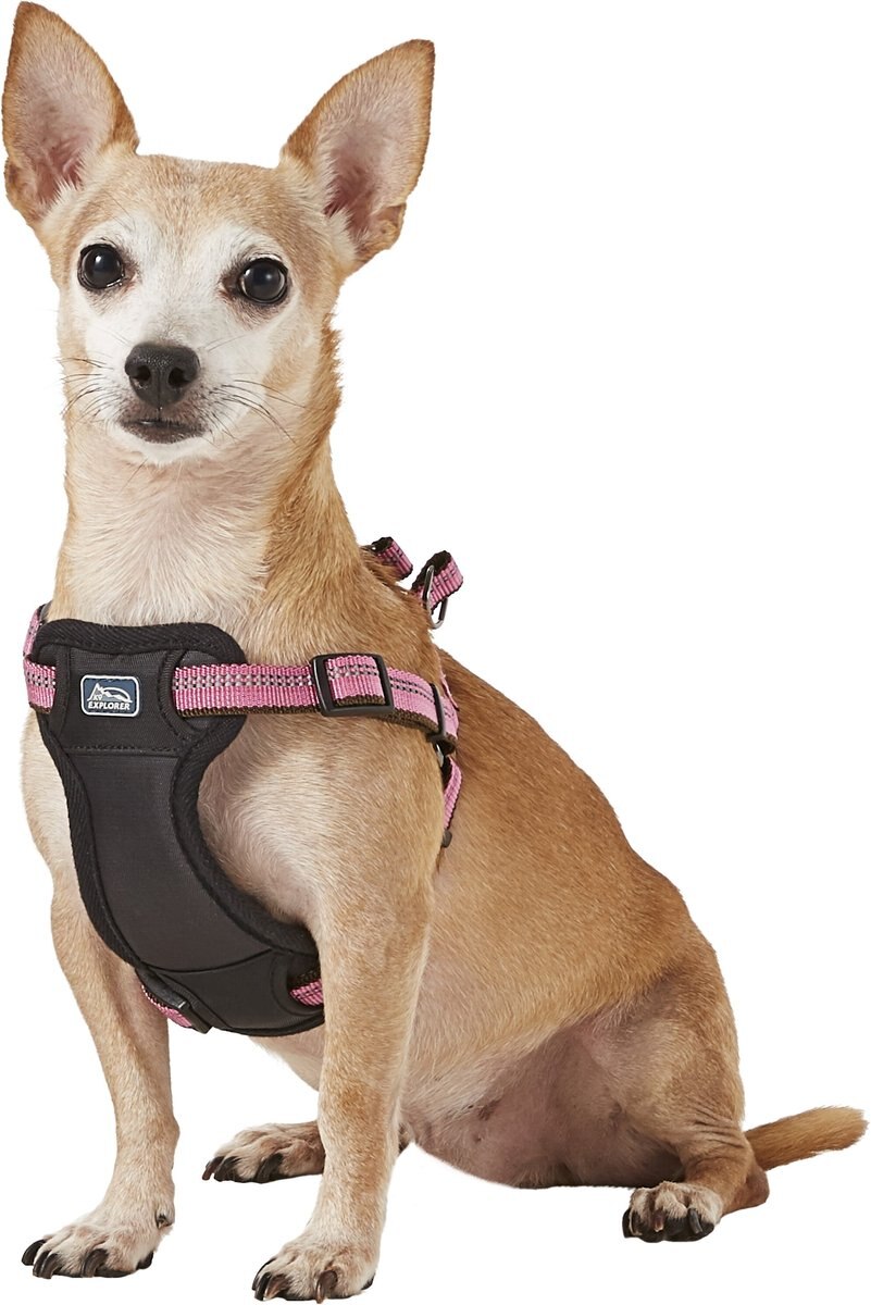 K9 EXPLORER Reflective Adjustable Padded Dog Harness, Rosebud, X-Small ...