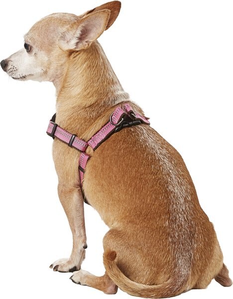 K9 EXPLORER Reflective Adjustable Padded Dog Harness, Rosebud, X-Small ...