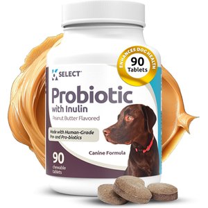 K9 SELECT Inulin Probiotic for Dogs, 90 count - Chewy.com