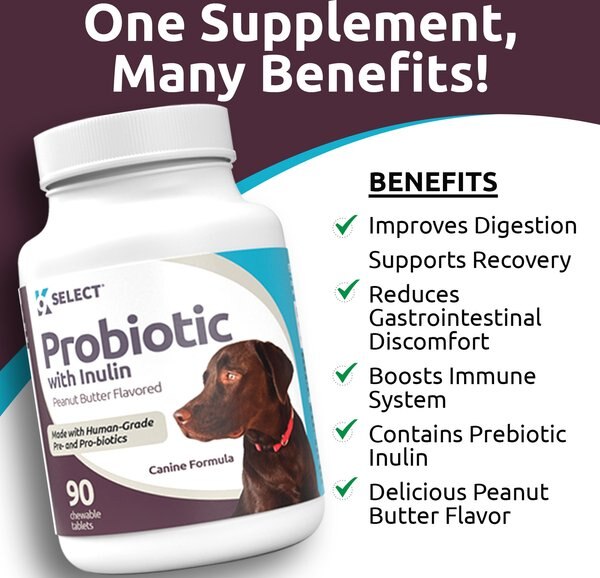 K9 SELECT Inulin Probiotic for Dogs, 90 count - Chewy.com