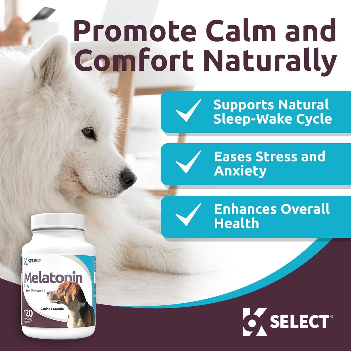 K9 SELECT Melatonin Beef Flavor Calming Dog Supplement, 3-mg, 120 count ...