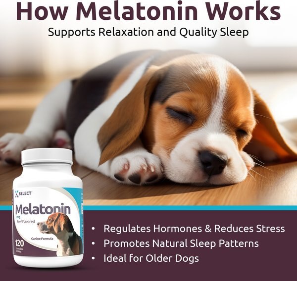 K9 SELECT Melatonin Beef Flavor Calming Dog Supplement, 3-mg, 120 count ...
