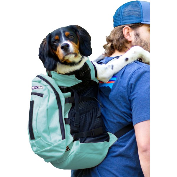 K9 SPORT SACK Urban 3 Leaf Dog Carrier, Green, Medium - Chewy.com