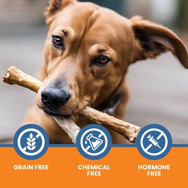 K9WAREHOUSE Collagen Sticks 6-in Dog Treats, 12 count - Chewy.com