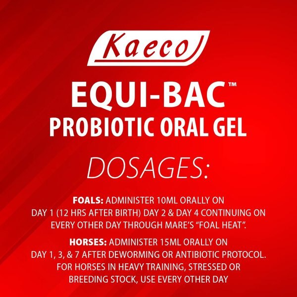 KAECO Equi-Bac Oral Gel Horse Digestive Aid Supplement, 80-ml tub ...