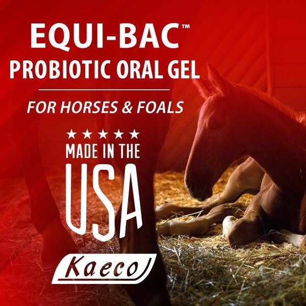 KAECO Equi-Bac Oral Gel Horse Digestive Aid Supplement, 80-ml tub ...