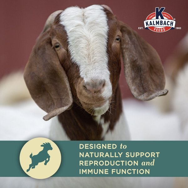 KALMBACH FEEDS 16% Grain Goat Feed, 50-lb bag - Chewy.com