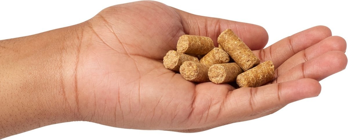 KALMBACH FEEDS 18% Rodent Diet Cubes Rats & Mice Food, 50-lbs bag ...