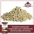 KALMBACH FEEDS 20% Ostrich & Emu Pellet Ratite Food, 50-lb bag - Chewy.com