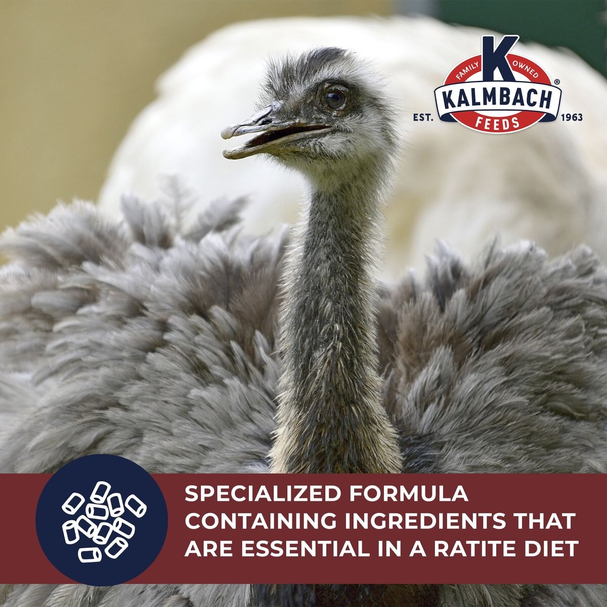KALMBACH FEEDS 20% Ostrich & Emu Pellet Ratite Food, 50-lb bag - Chewy.com