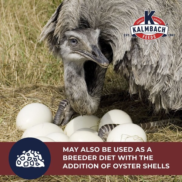 KALMBACH FEEDS 20% Ostrich & Emu Pellet Ratite Food, 50-lb bag - Chewy.com