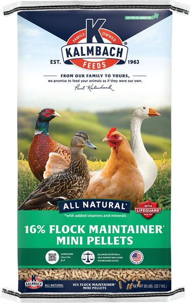 KALMBACH FEEDS All Natural 16% Protein Flock Maintainer Pellet Poultry Feed, 50-lb bag, bundle ...