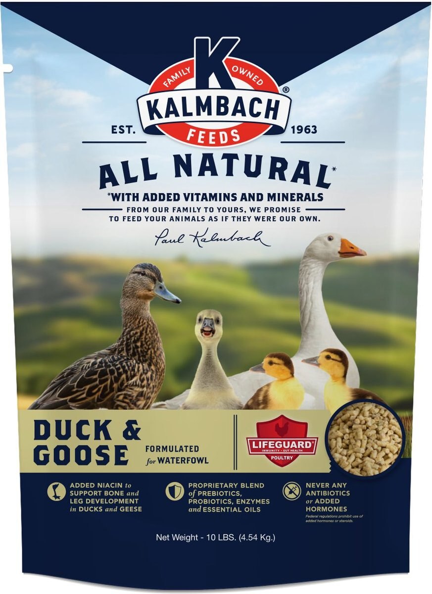 KALMBACH FEEDS All Natural Duck & Goose Feed, 10-lb bag - Chewy.com