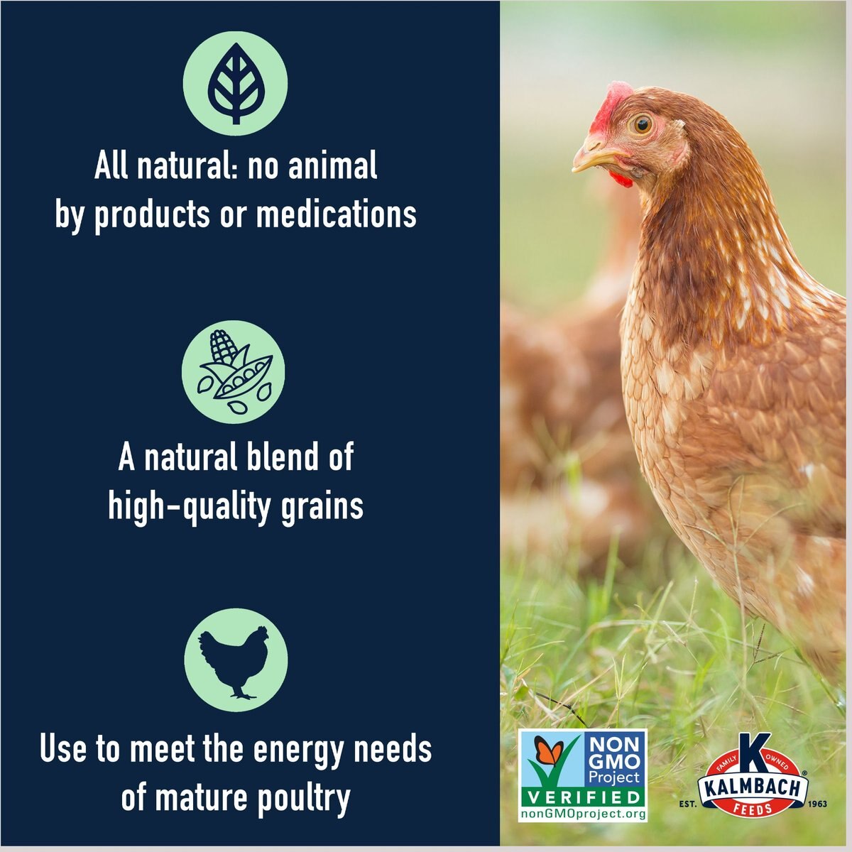 KALMBACH FEEDS All Natural Non-GMO, Soy Free 5 Grain Premium Scratch ...