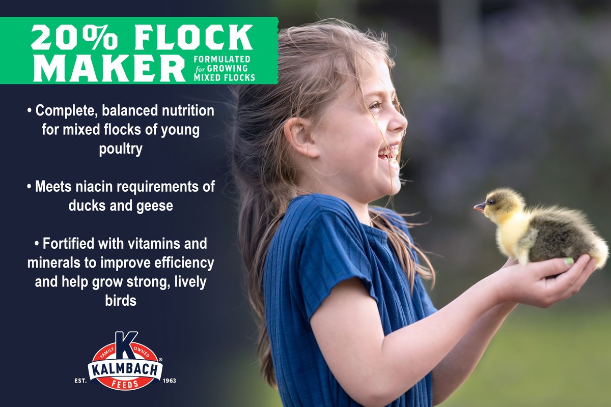 KALMBACH FEEDS Flock Maker Growing Mixed Flocks 20% Protein Crumbles ...