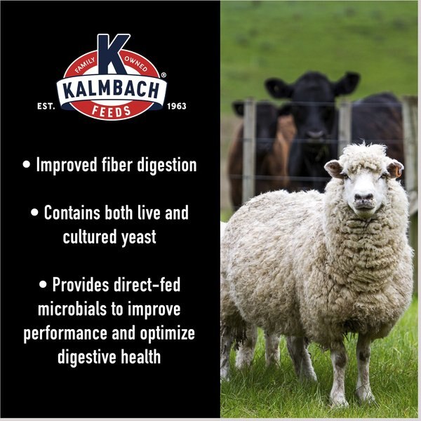 KALMBACH FEEDS Opti-Ferm X-Large Yeast Livestock Feed, 50-lb bag ...