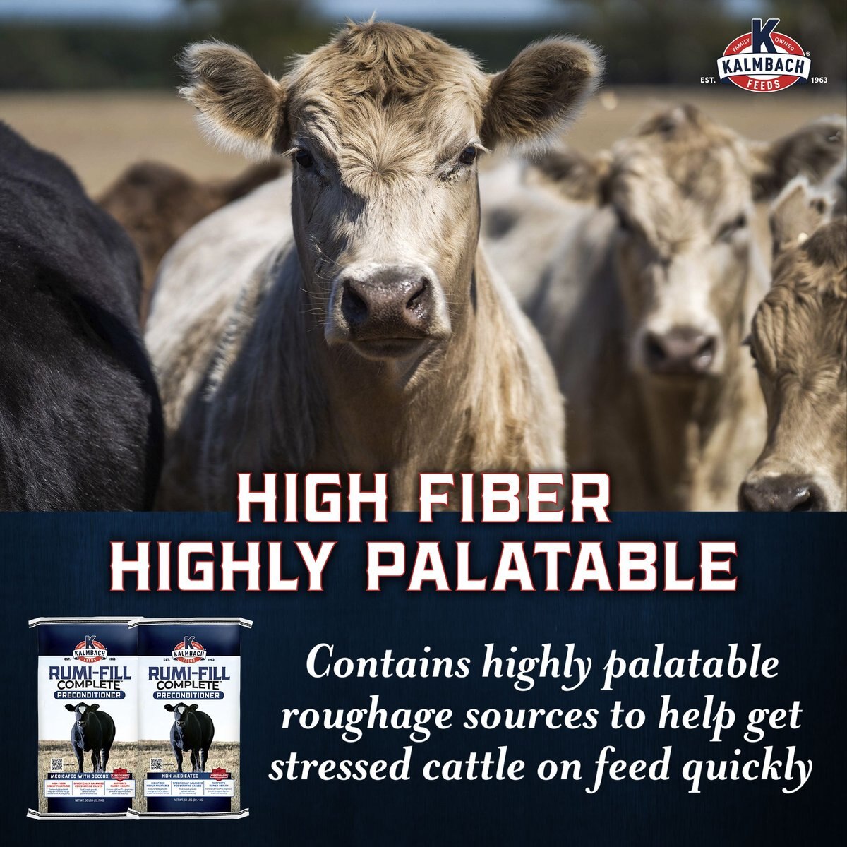 KALMBACH FEEDS Rumi-Fill Complete Preconditioner Cattle Feed, 50-lb bag ...