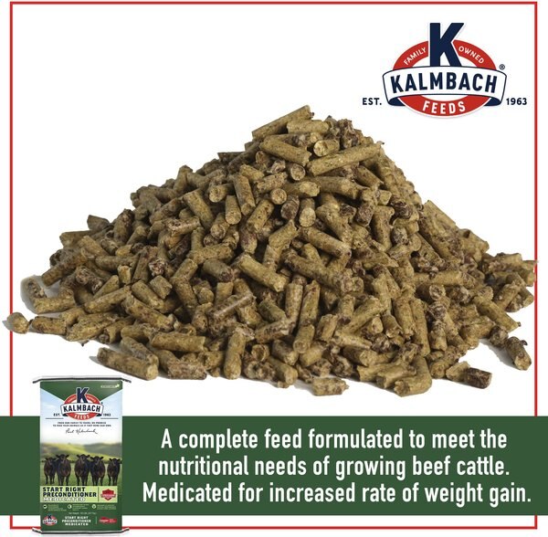 KALMBACH FEEDS Start Right Preconditioner Cattle Feed, 50-lb bag ...