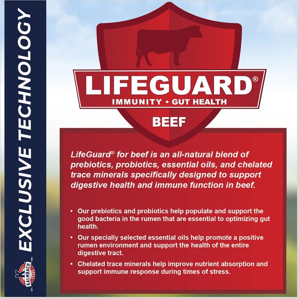 KALMBACH FEEDS Start Right Preconditioner Cattle Feed, 50-lb bag ...