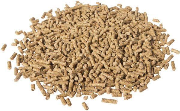 KALMBACH FEEDS Start Right Young Goat Feed, 50-lb bag - Chewy.com