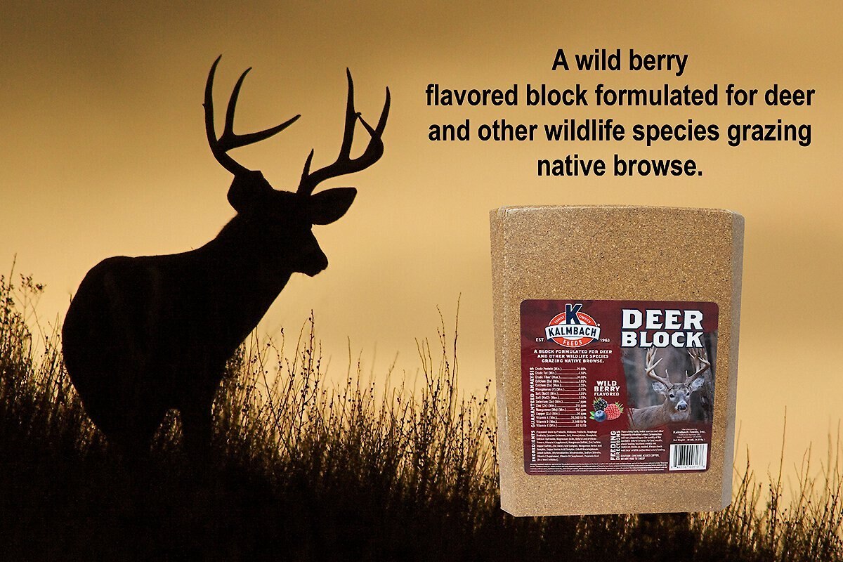 KALMBACH FEEDS Wild Berry Flavored Deer Block, 30-lb block - Chewy.com
