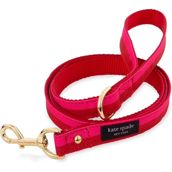 PINK PAPYRUS Leopard Polyester Dog Leash, 4-ft long 1-in wide - Chewy.com