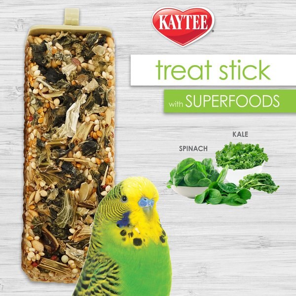 KAYTEE Avian Superfood Treat Stick Spinach & Kale Bird Treat, 5.5-oz ...