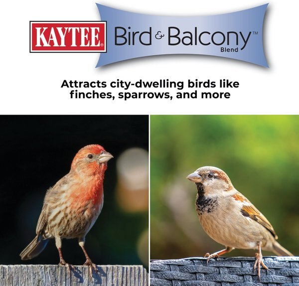 KAYTEE Bird & Balcony Blend Finch, Sparrow & Dove Bird Food, 5-lb bag ...