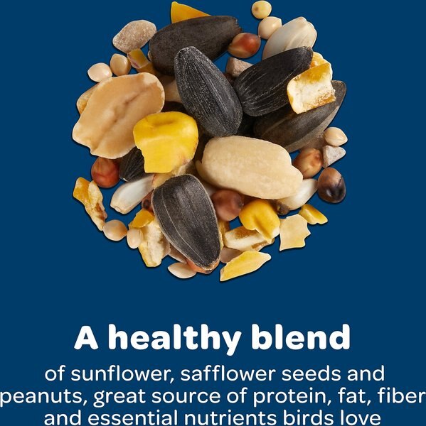 KAYTEE Birders' Paradise Blend Sunflower, Safflower & Peanuts Songbird ...