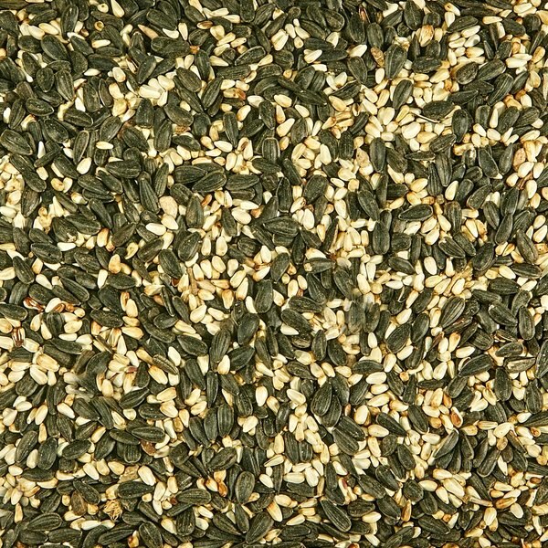 KAYTEE Cardinal Wild Bird Food, 7-lb bag - Chewy.com