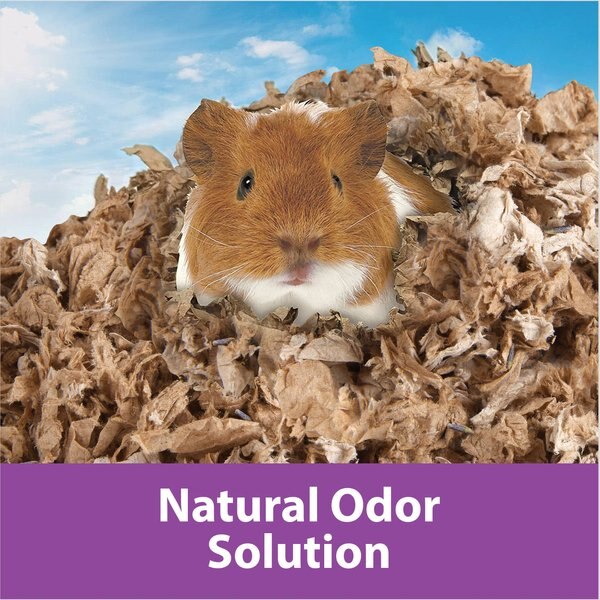 KAYTEE Clean & Cozy Lavender Natural Small Pet Bedding, 49.2-litters ...