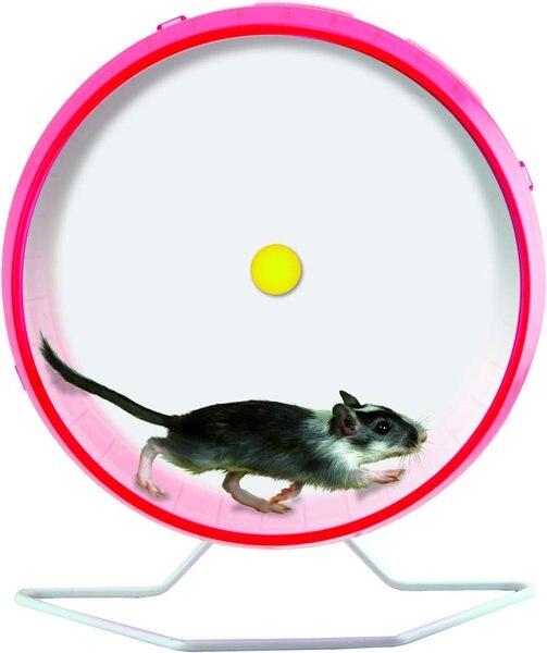 KAYTEE Comfort Small Animal Exercise Wheel, 12-in - Chewy.com