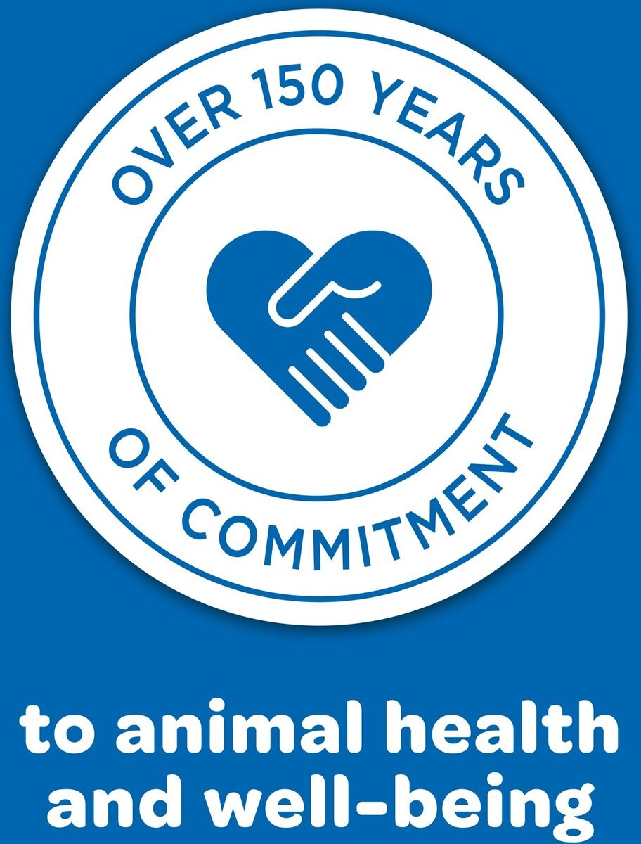 KAYTEE Corn On The Cob Wild Bird Food, 6.5-lb bag - Chewy.com