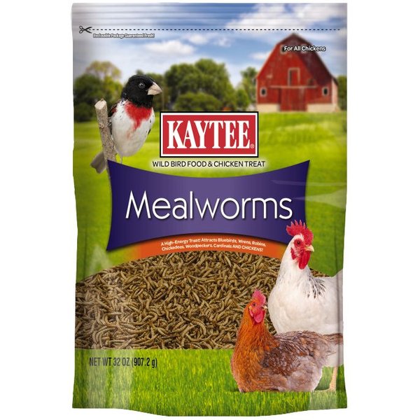 7 Best Mealworms for Birds 2026: According to Reviews | Chewy