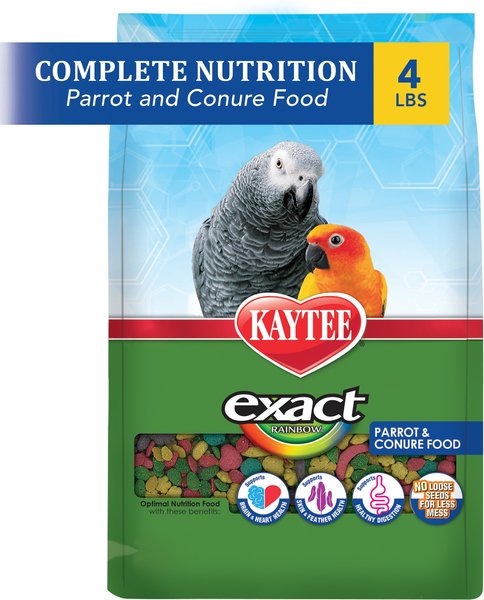 KAYTEE Exact Rainbow Parrot & Conure Bird Food, 4-lb bag - Chewy.com