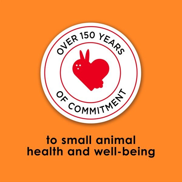 KAYTEE Fiesta Gourmet Variety Diet Rabbit Food, 20-lb bag - Chewy.com