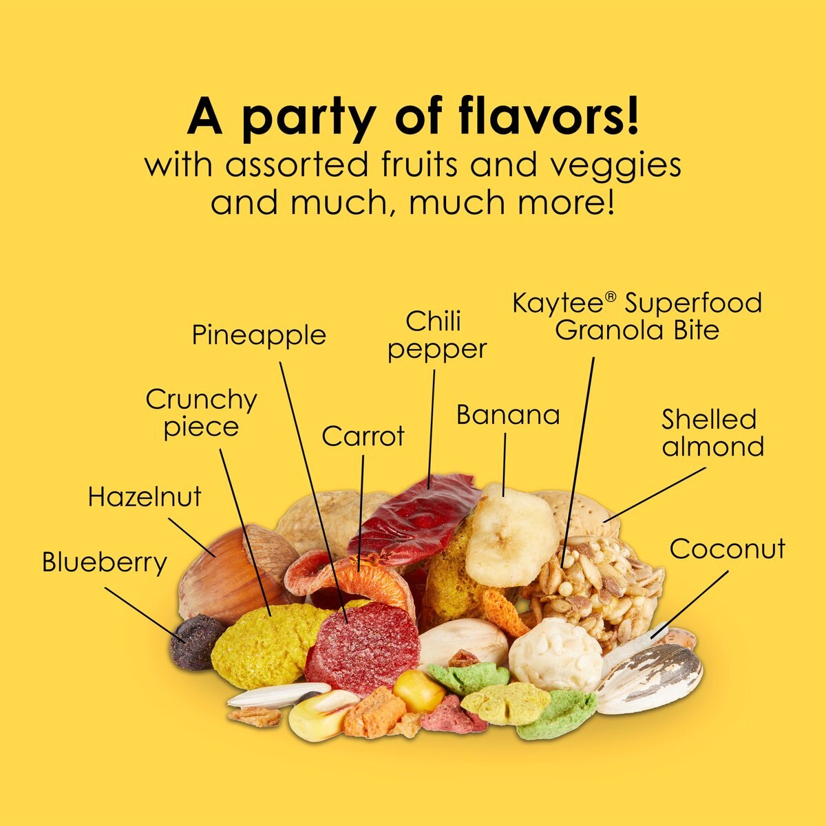 KAYTEE Fiesta Variety Mix Macaw Food, 4.5-lb bag - Chewy.com