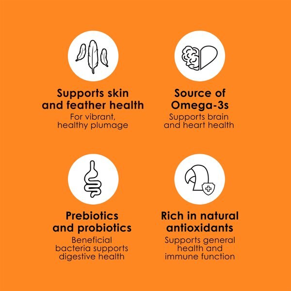 KAYTEE Fiesta Variety Mix Macaw Food, 4.5-lb bag - Chewy.com