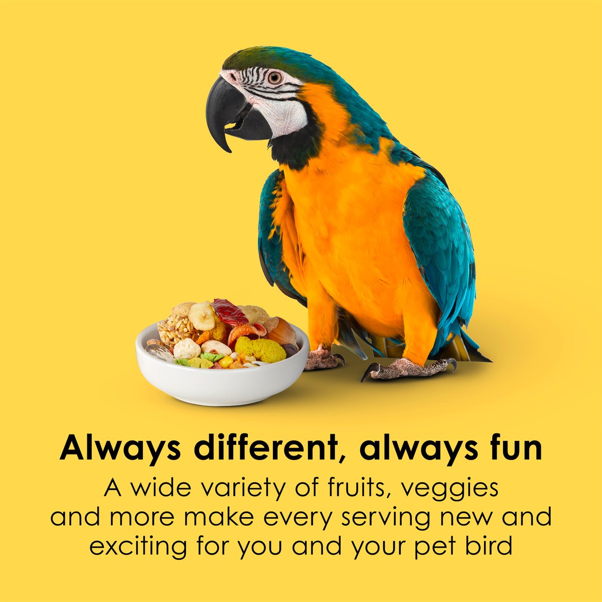 KAYTEE Fiesta Variety Mix Macaw Food, 4.5-lb bag - Chewy.com