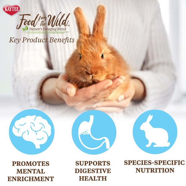 KAYTEE Food From the Wild Rabbit Food, 4-lb bag - Chewy.com