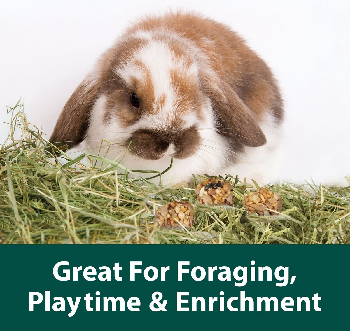 KAYTEE Granola Small Animal Bites with Superfoods Cranberry Apple ...