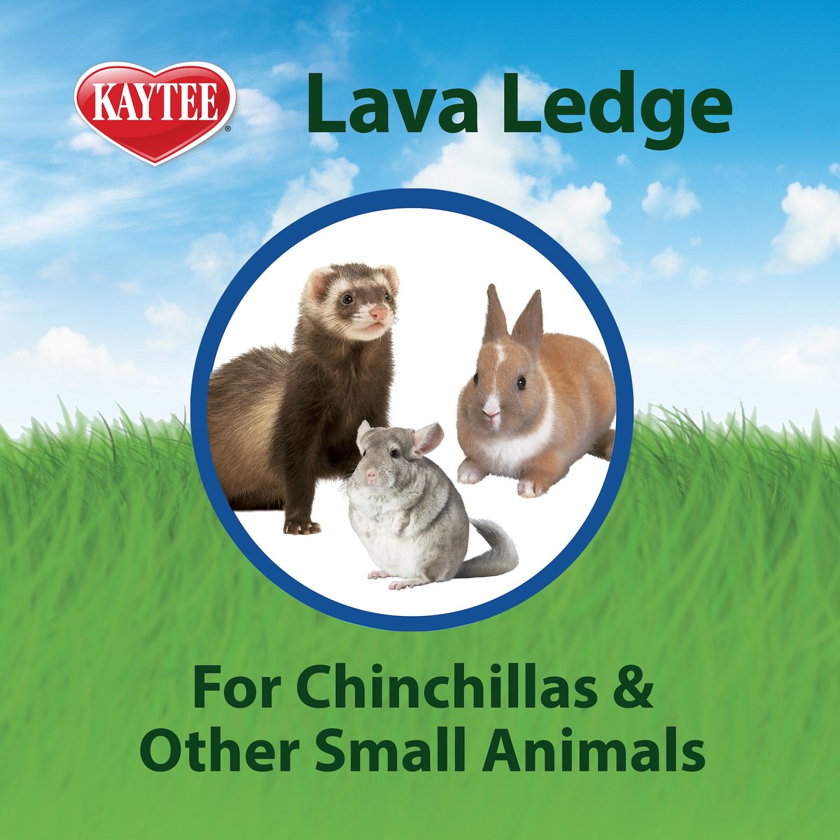 KAYTEE Lava Ledge Small Animal Toy, 5.8-in - Chewy.com